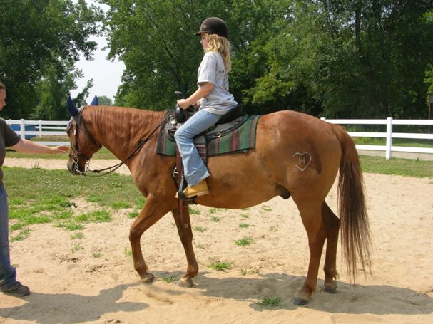 Your First Riding Lesson, Part 1 - saddleupcolorado