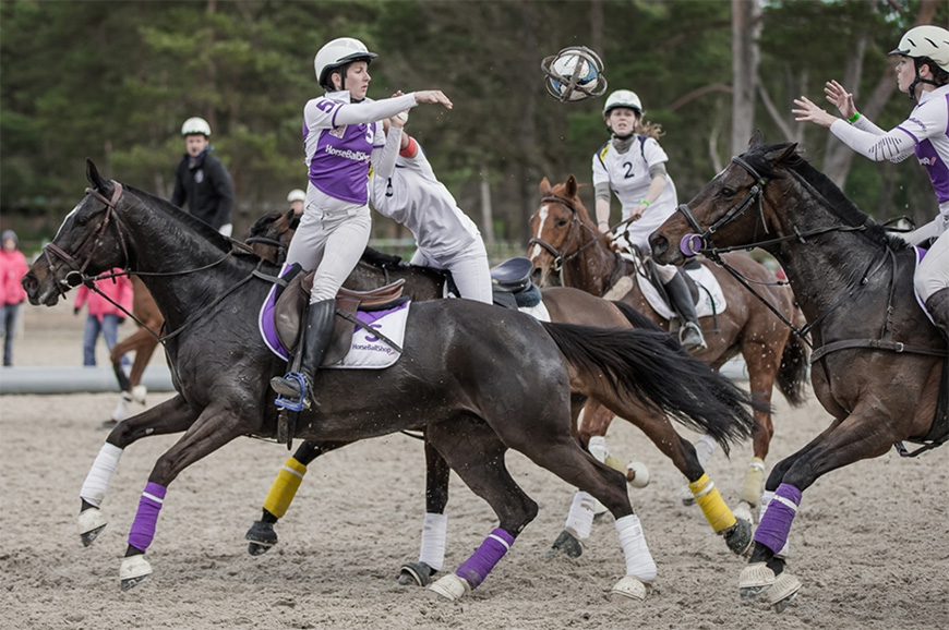 Unique Horse Disciplines - saddleupcolorado